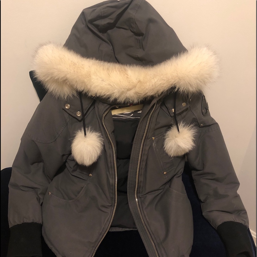 Moose Knuckle Beaver Jacket - Gem